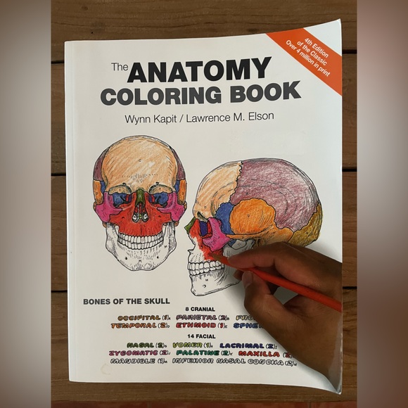 Pearson Edu | Other | Anatomy Coloring Book | Poshmark